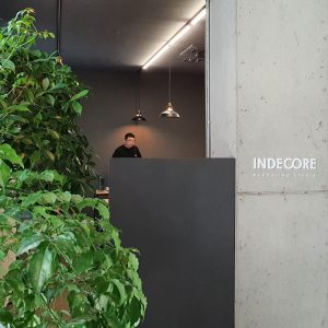 About – INDECORE RENDERING STUDIO